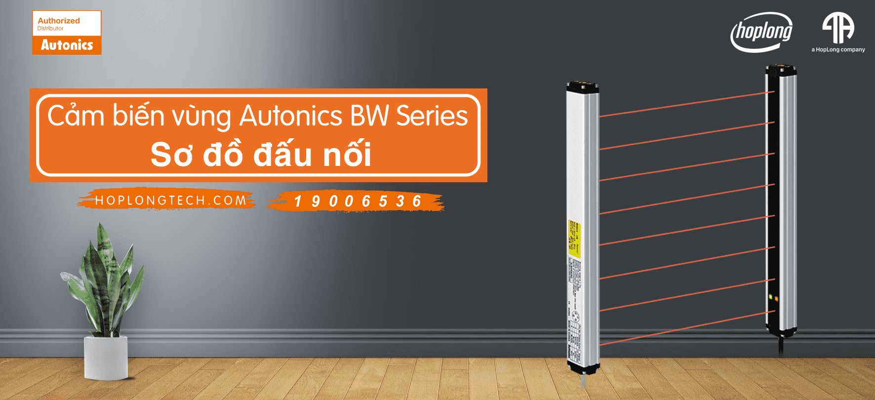 Cảm biến vùng Autonics BW Series - Sơ đồ đấu nối