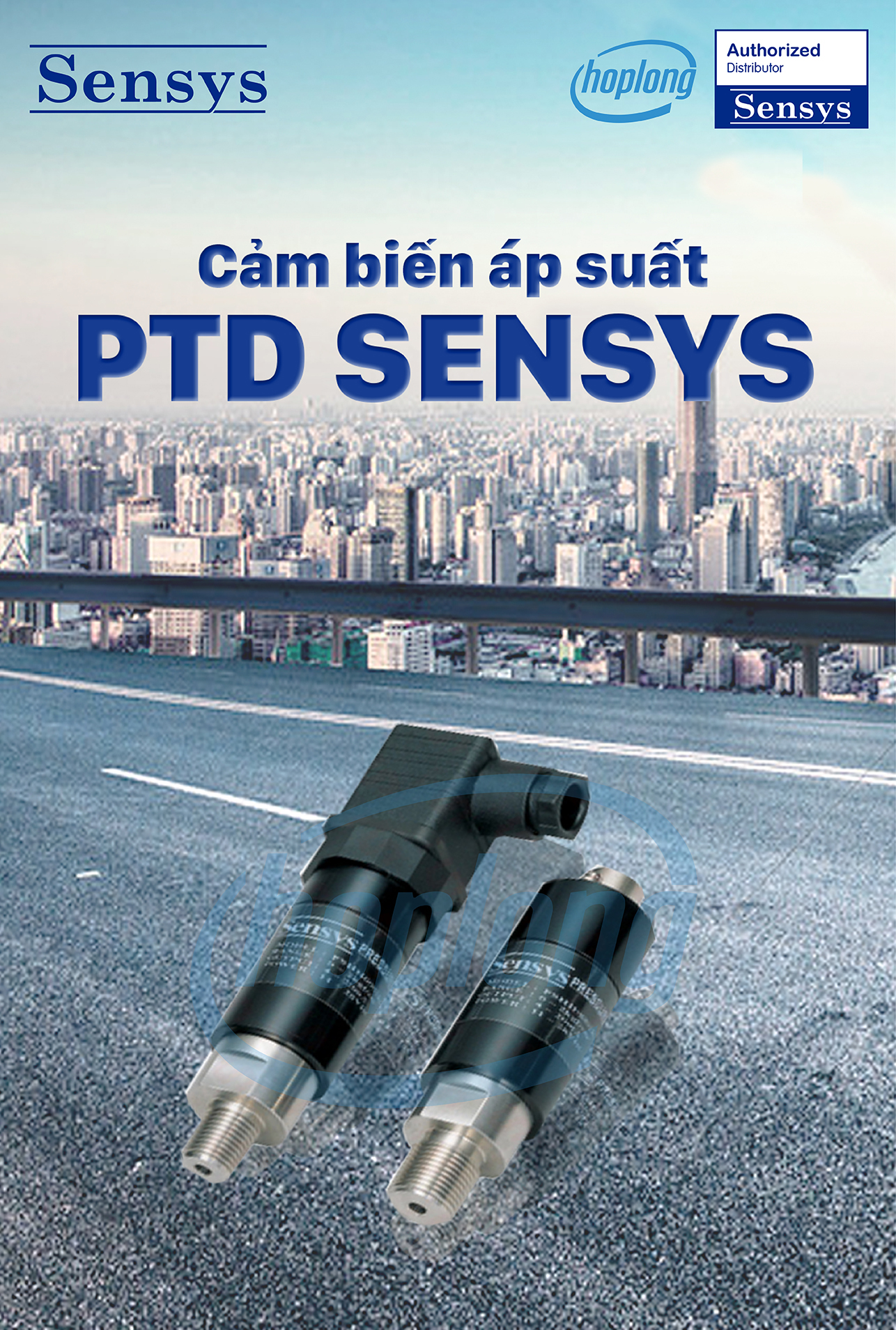 PTDH0300RCPA Sensys - 12-24VDC - 300KPa - R(PT)1/4