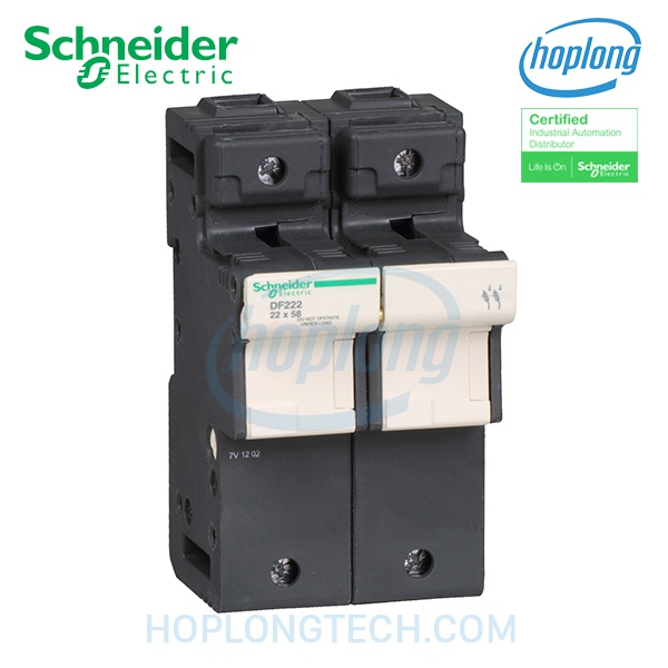 DF222 Schneider - DF Series - 2P - 125A - 20kA - 0-400VAC
